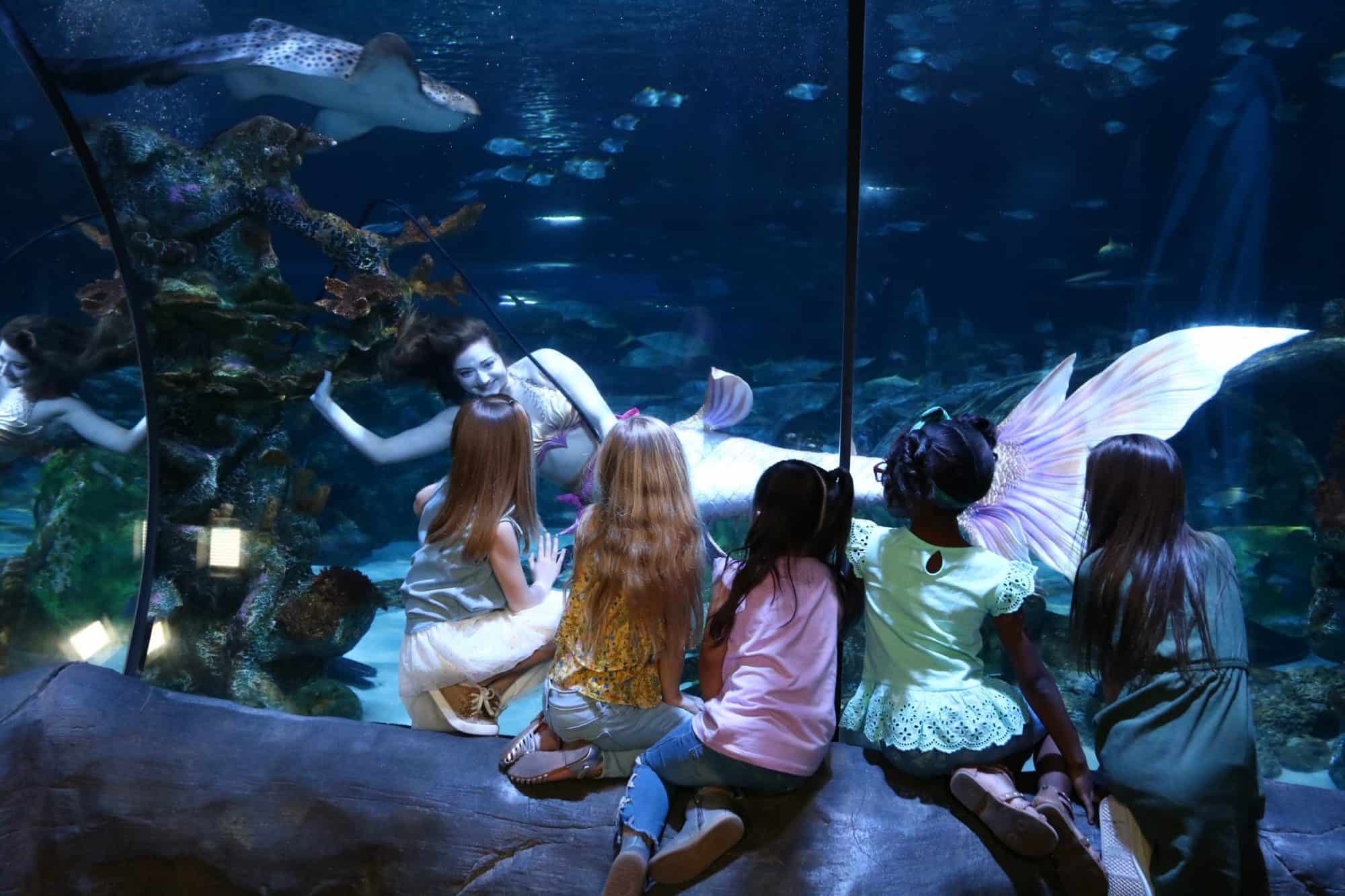 Mermaids in Orlando! - ZANNALAND!