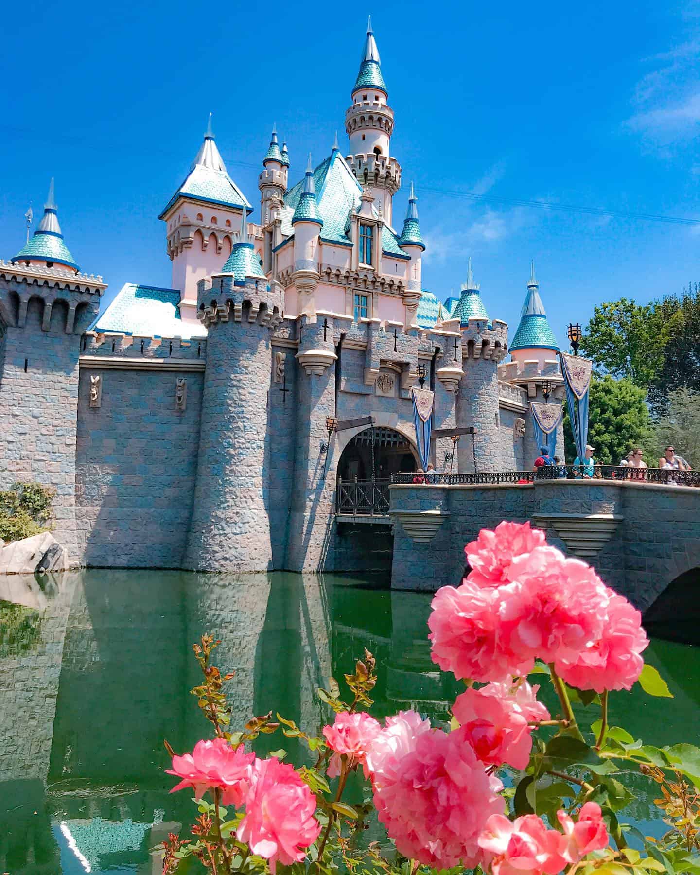Top Reasons You NEED to Visit Disneyland - Up the Waterfall Episode 32 ...